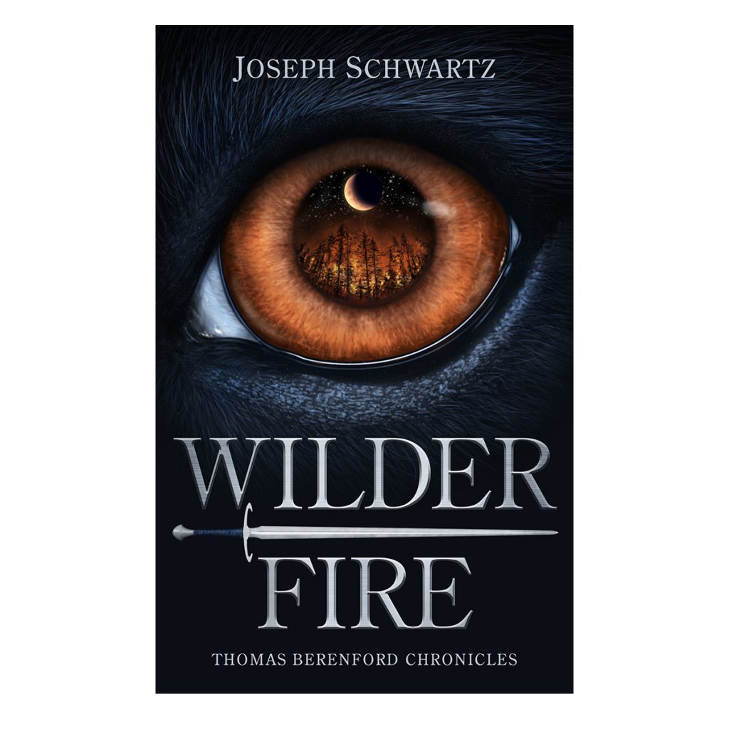 Wilder Fire: A Case Study - Jon Stubbington